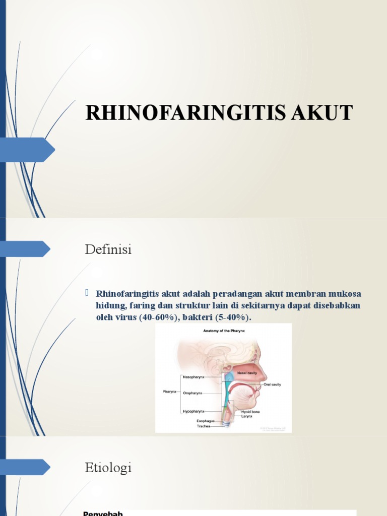 Rhinofaringitis Akut | PDF