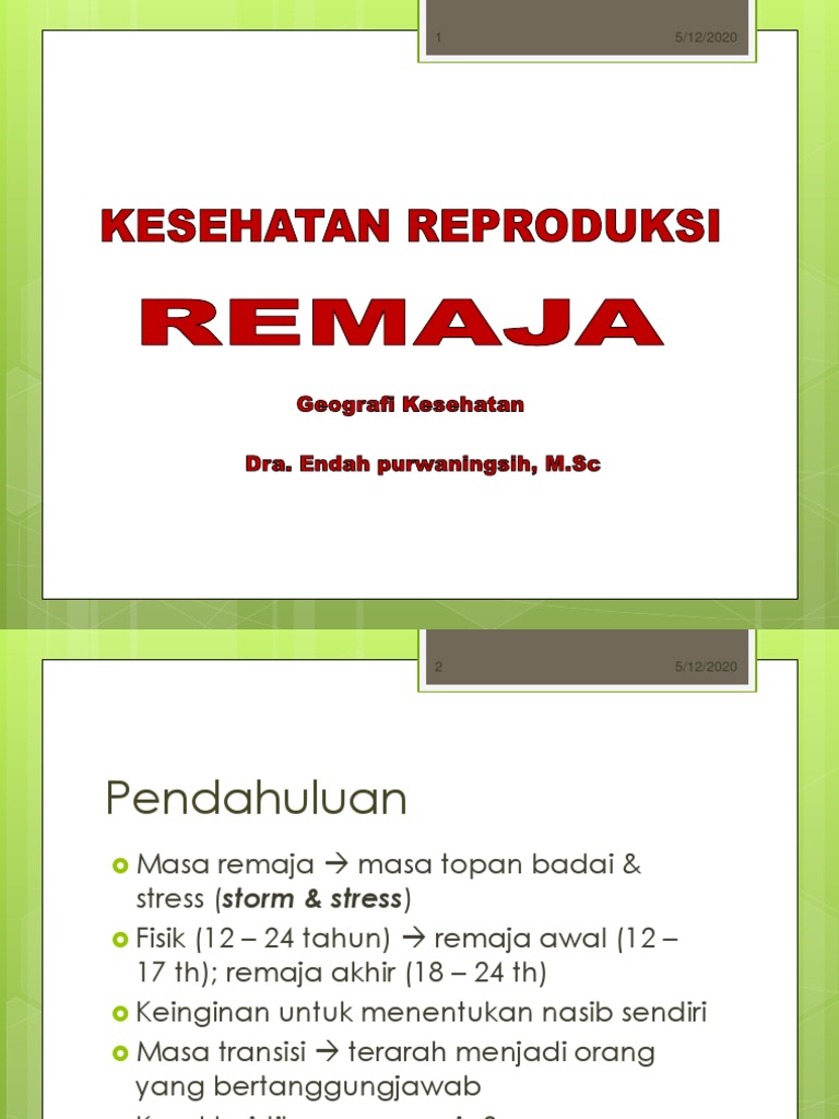 Leaflet Kesehatan Reproduksi Remaja | PDF
