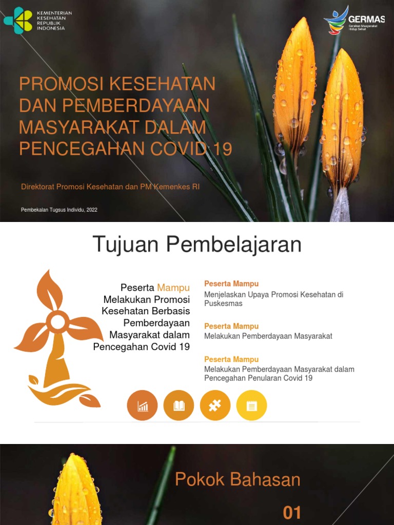 PROMKES NS - Individu | PDF | Ilmu Sosial | Pengembangan Diri