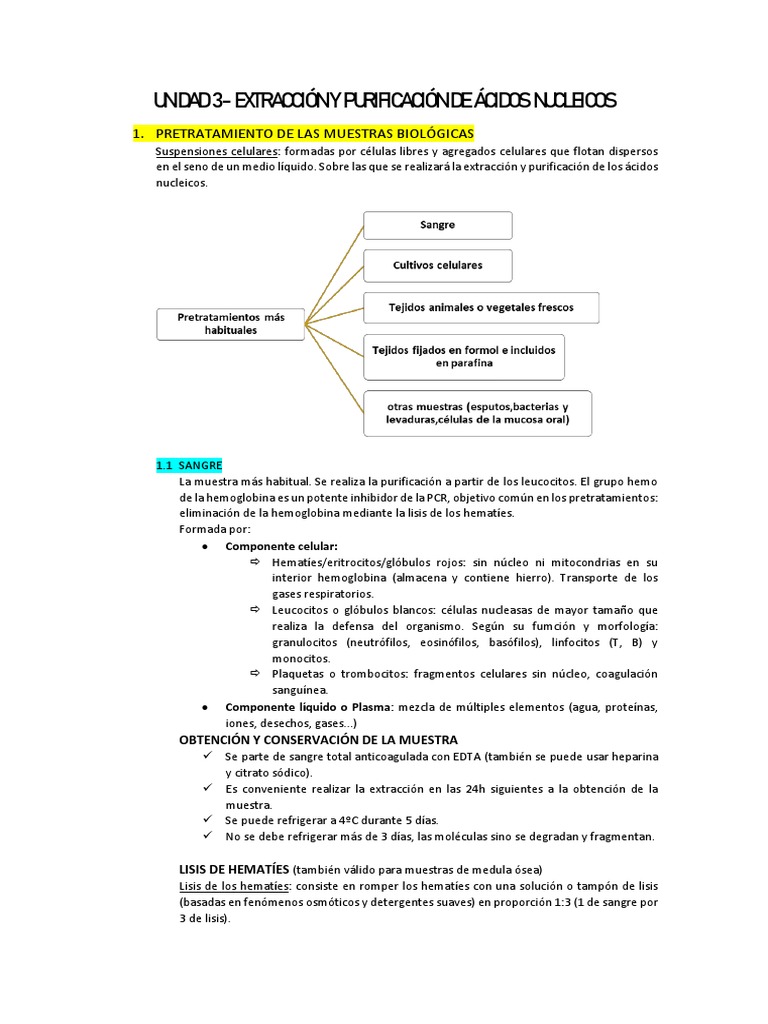 UNIDAD 3 Extracción y Purificación de AANN | PDF | Sangre | Glóbulo rojo