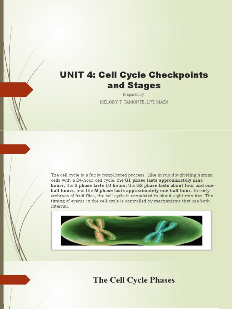 UNIT 4 Cell Cycle | PDF | Cell Cycle | Mitosis
