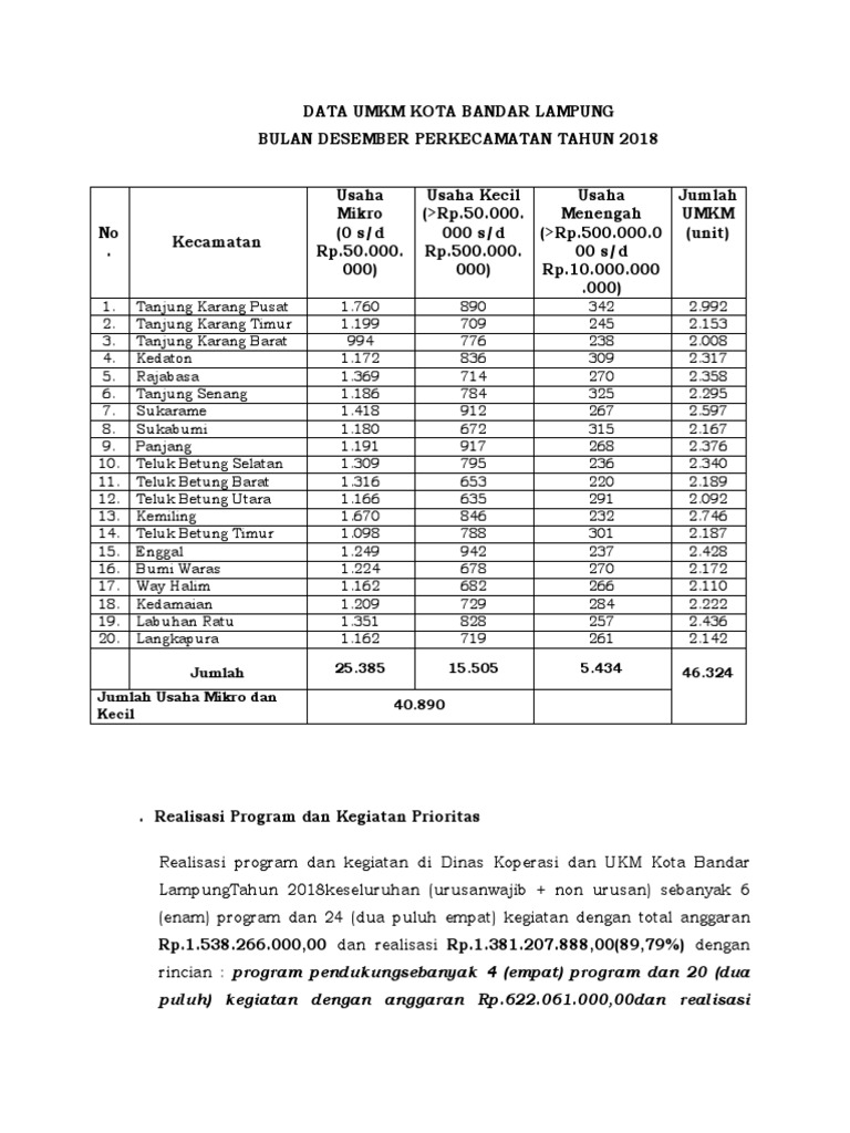 Data UMKM Bandar Lampung | PDF