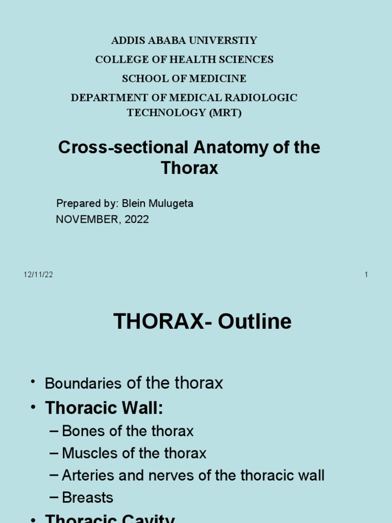 Cross-Sectional Anatomy of the Thorax | PDF | Vertebra | Lung