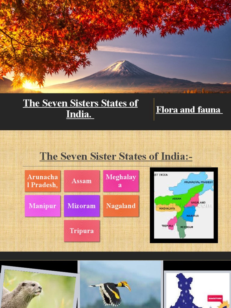 The Seven Sisters States of India | PDF