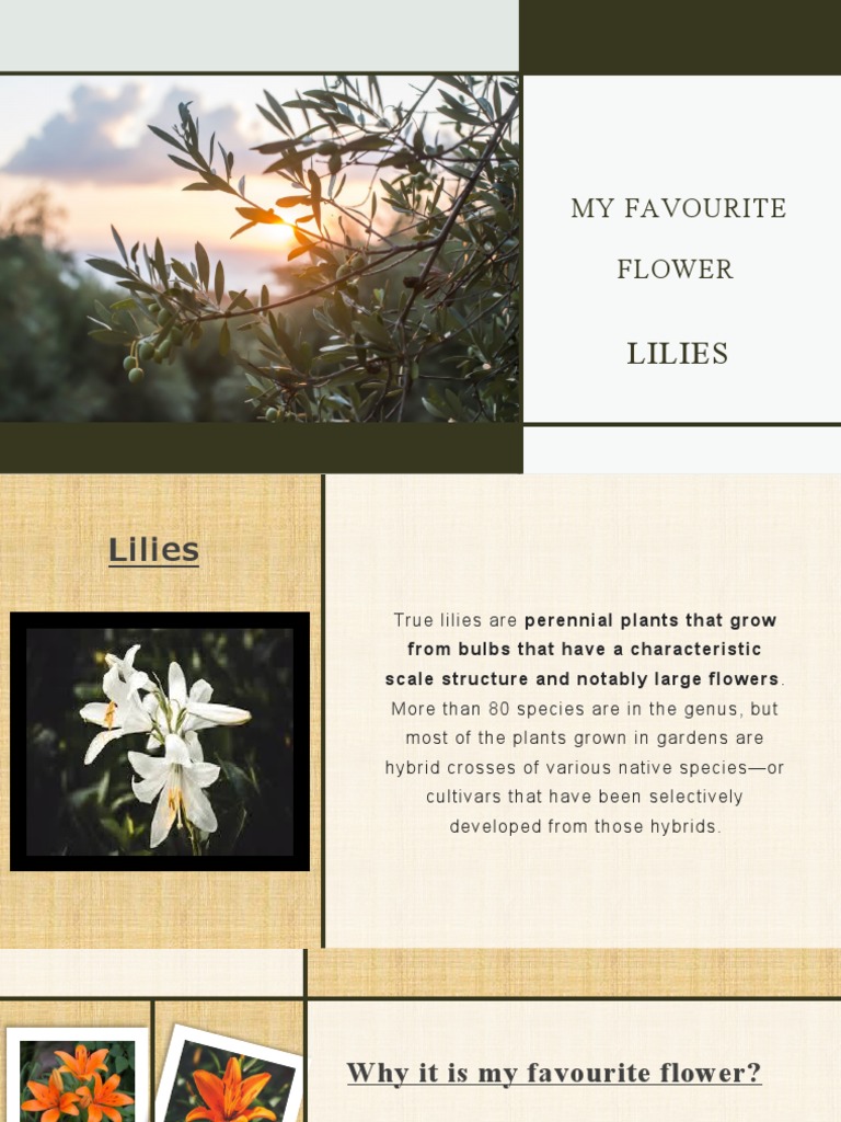 My Favourite Flower | PDF