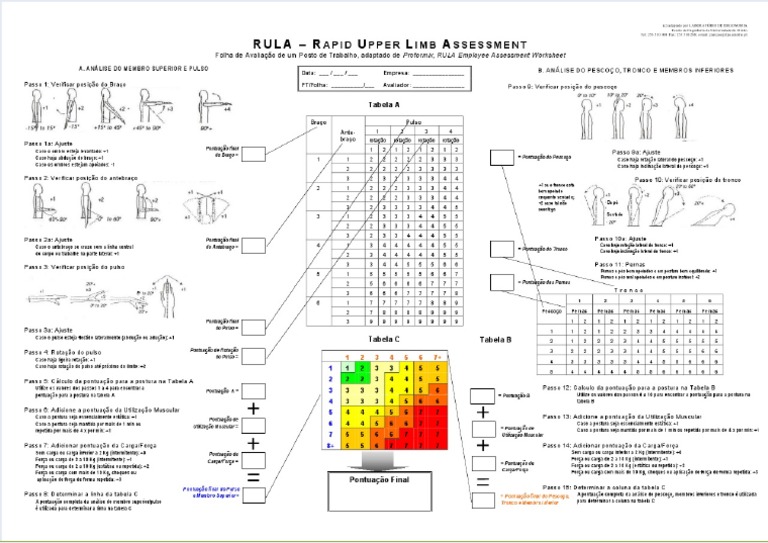 Guia RULA em Português PDF | PDF