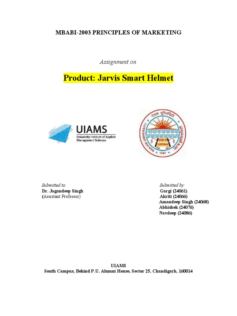 STP Marketing Assignment | PDF | Market Segmentation | Business Process