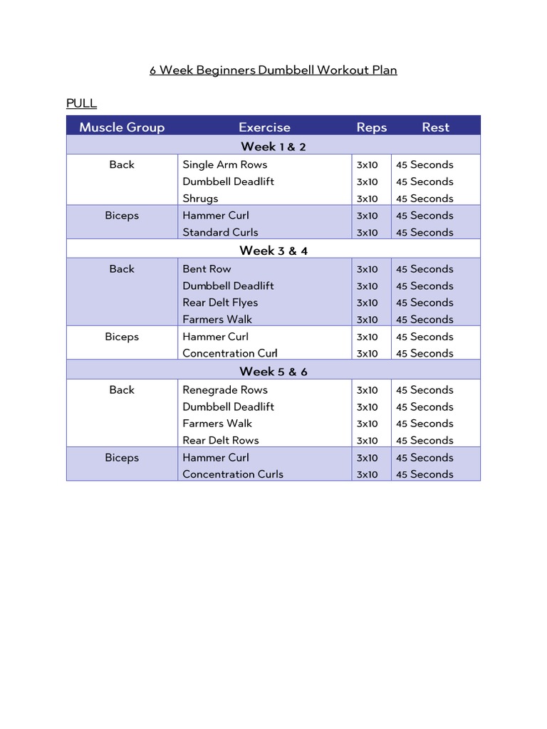 6 Week Beginners Dumbbell Workout Plan | PDF