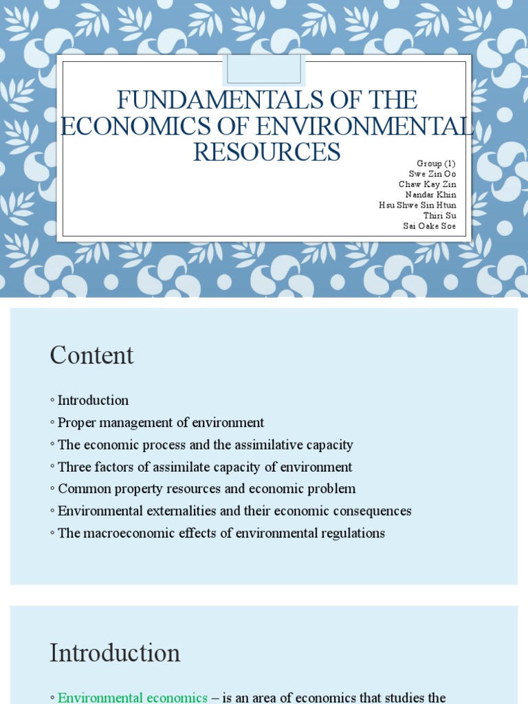 Economics of Environmental Resources | PDF | Externality | Resource