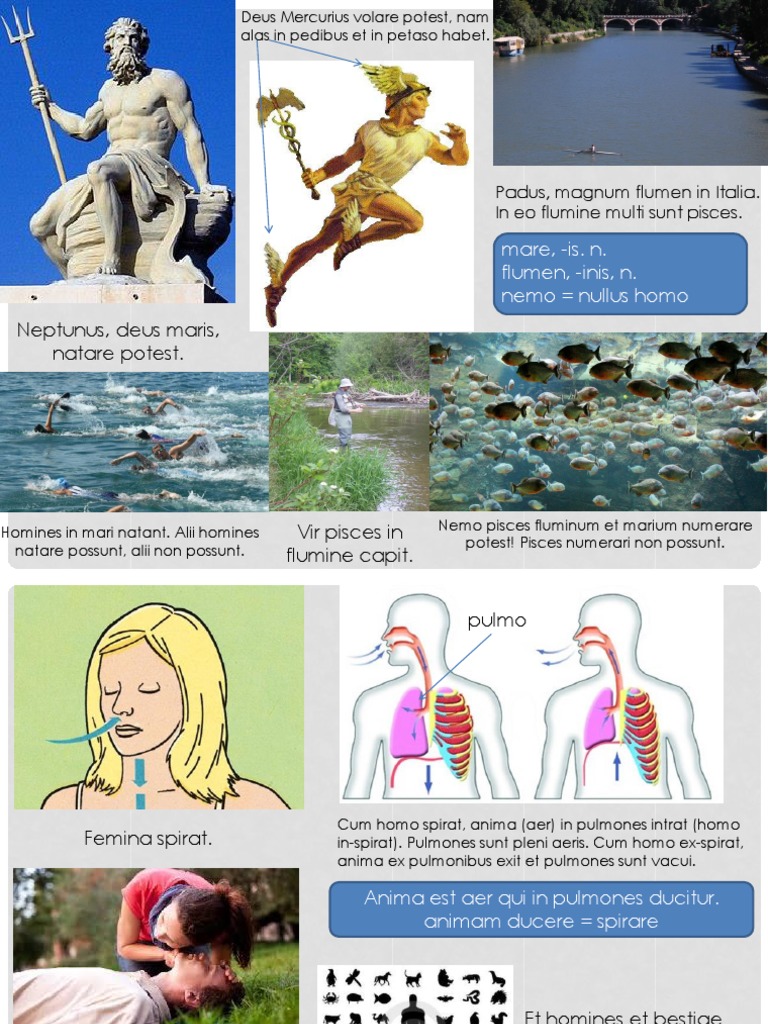 Cap. X Bestiae Et Homines, l.2. / Familia Romana | PDF