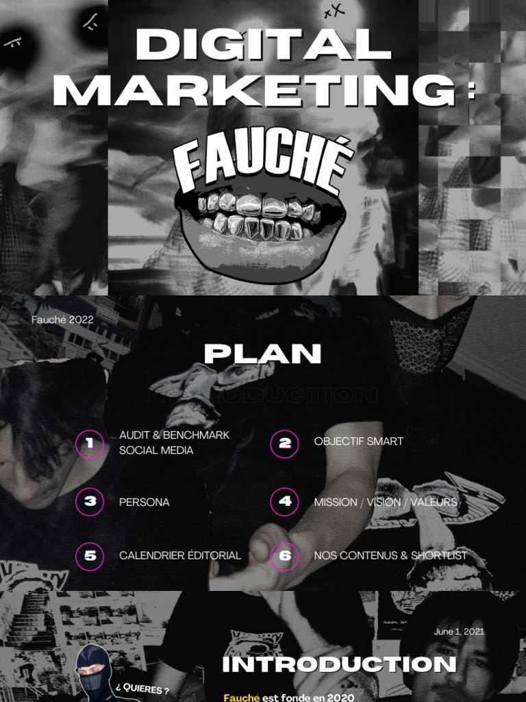 Digital Marketing Presentation For Fauché Company | PDF | la ...
