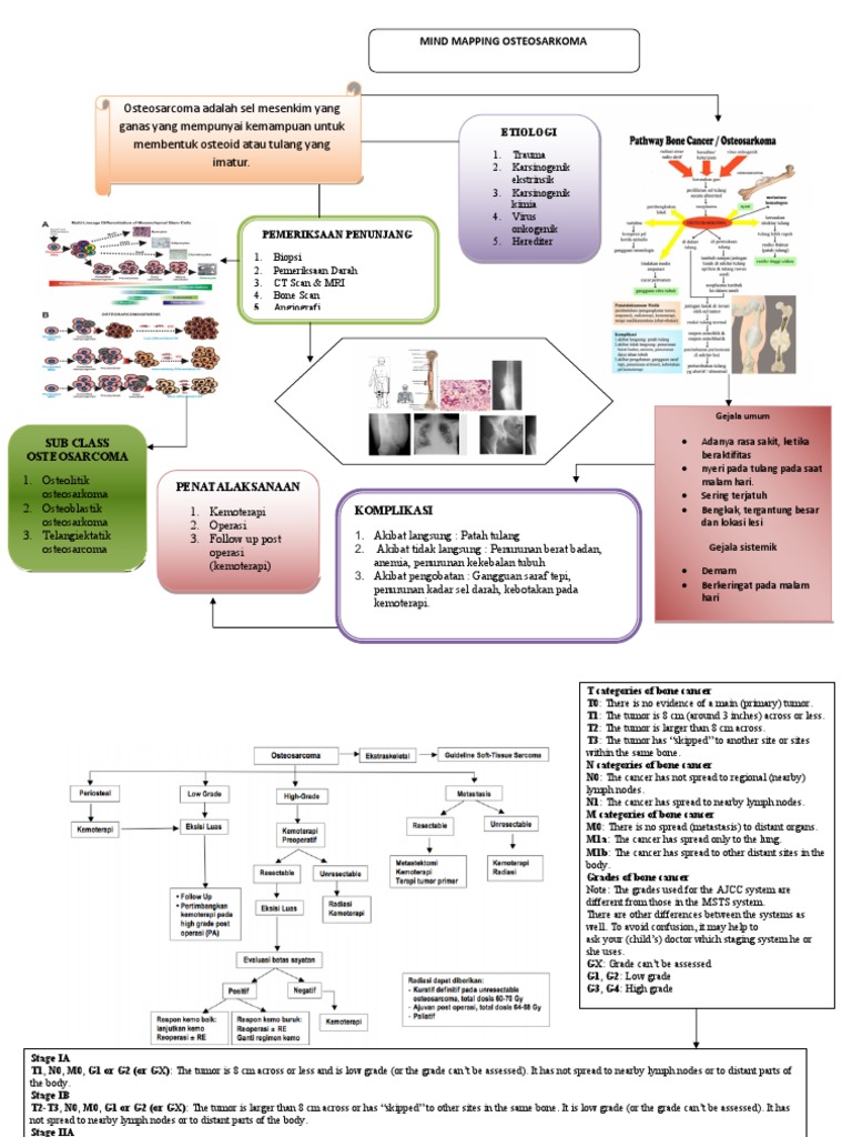 Mind Map Osteosarkoma | PDF | Oncology | Epidemiology