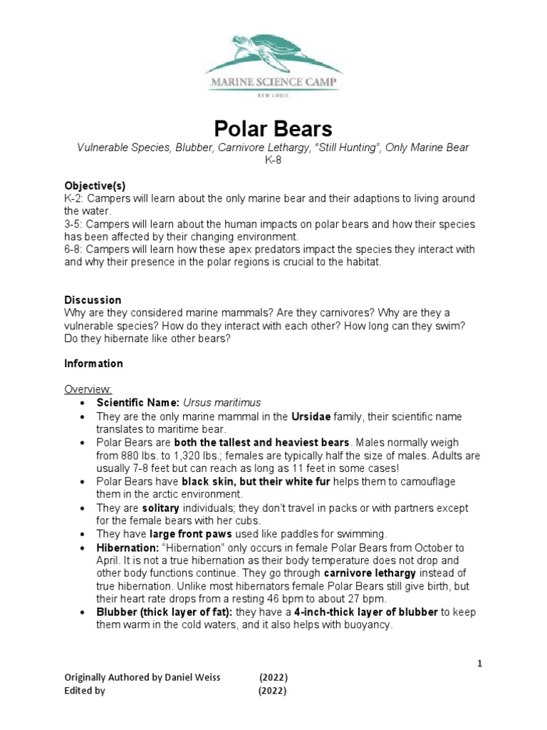 Polar Bear Lesson | PDF | Polar Bear | Bears
