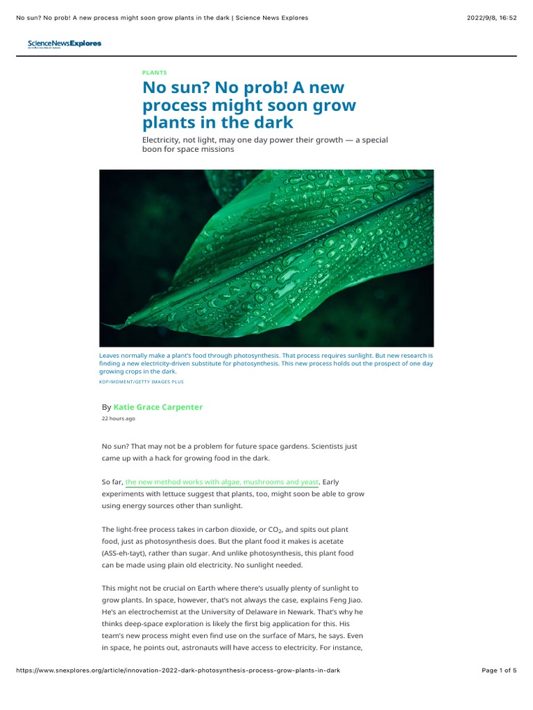No Sun No Prob A New Process Might Soon Grow Plants in The Dark Science ...