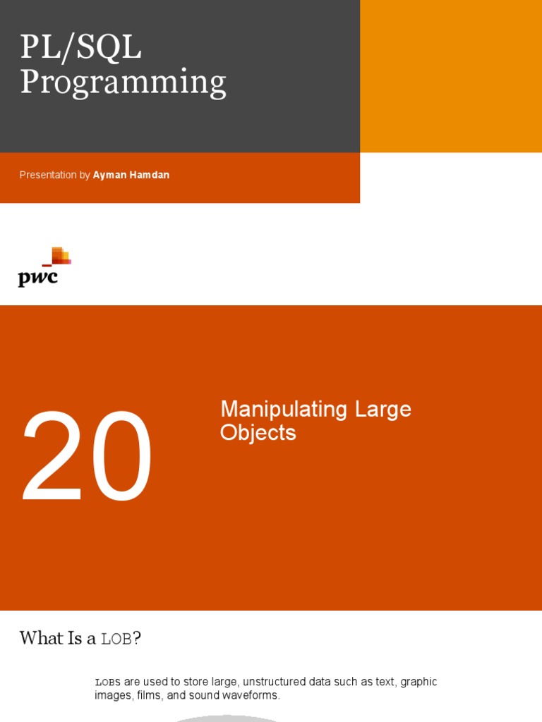 17 Manipulating Large Objects Pdf Pl Sql Filename