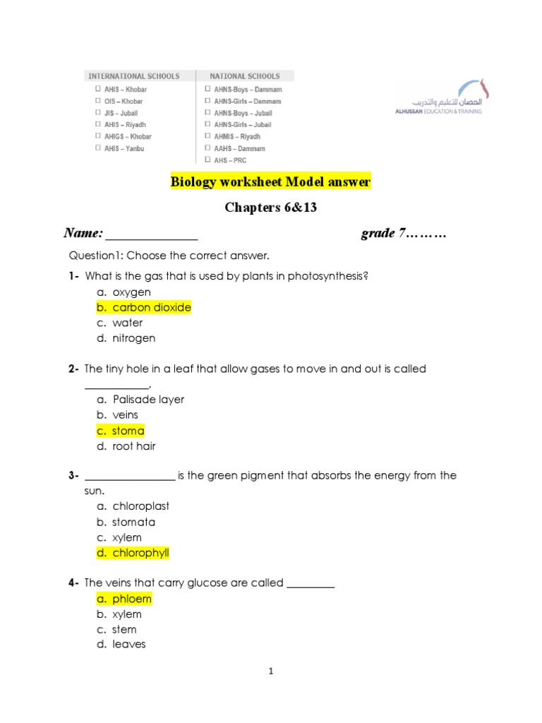 Grade 7 Biology Worksheet Answers | PDF | Leaf | Flowers