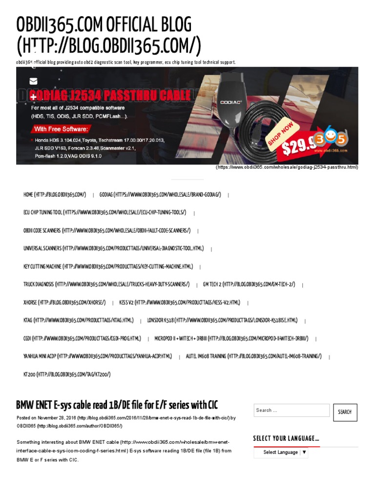 BMW ENET E-Sys Cable Read 1B - DE File For E - F Series With CIC ...