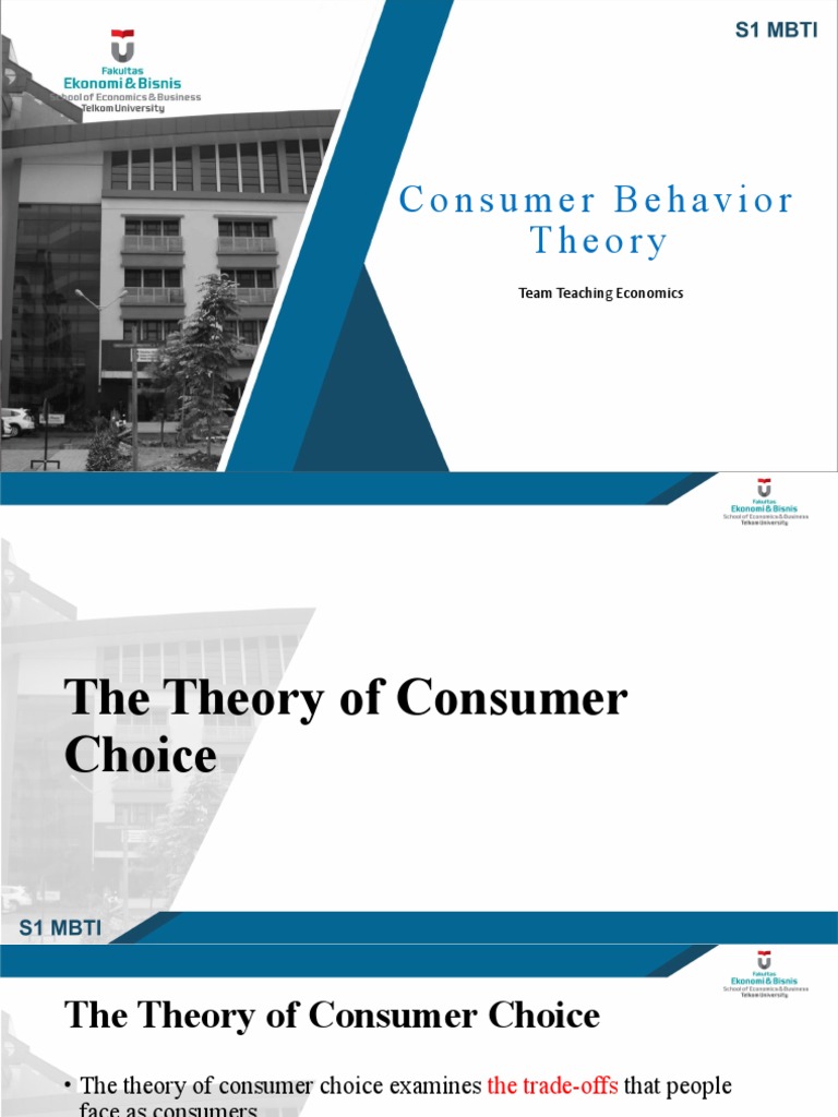 Consumer Behavior Theories | PDF