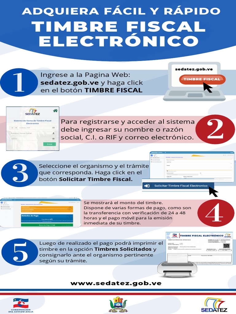 Obtención del Timbre Fiscal Electrónico | PDF