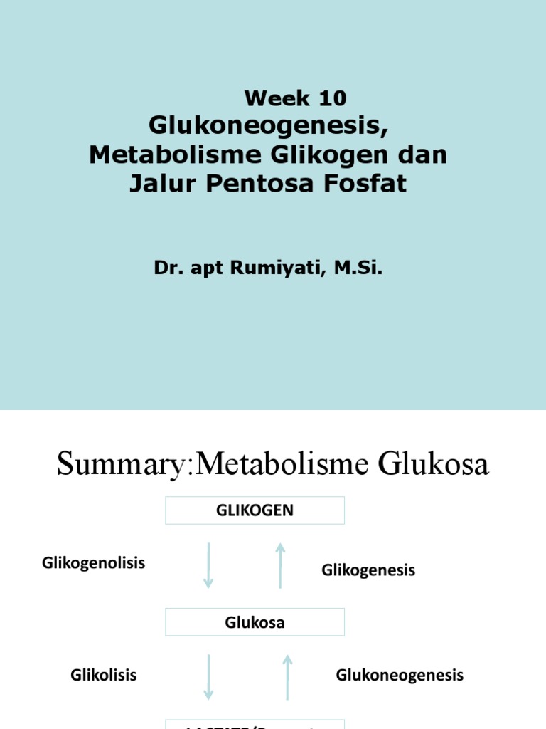 2 - Glukoneogenesis, Glycogenesis, Pentosa Posfat Patway | PDF