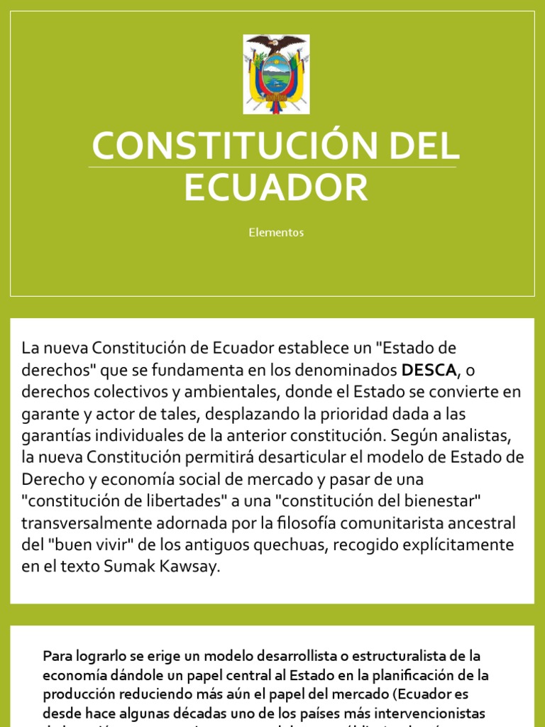 Constitución Del Ecuador | PDF | Gobierno | Ciencias Políticas
