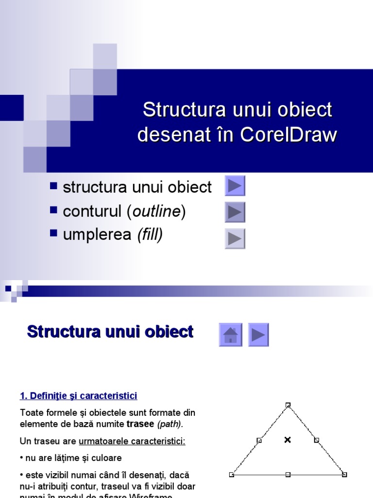 Structura Unui Obiect in Corel | PDF