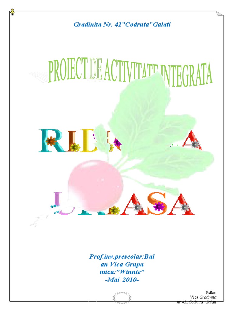Proiect | PDF
