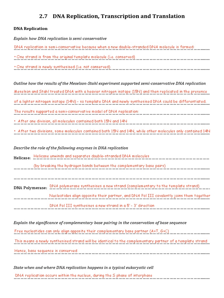 Topic 2.7 Worksheet (Answers) | PDF | Translation (Biology) | Sense ...