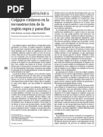 Anatomía de la región superciliar | PDF | Anatomía humana | Cabeza y ...