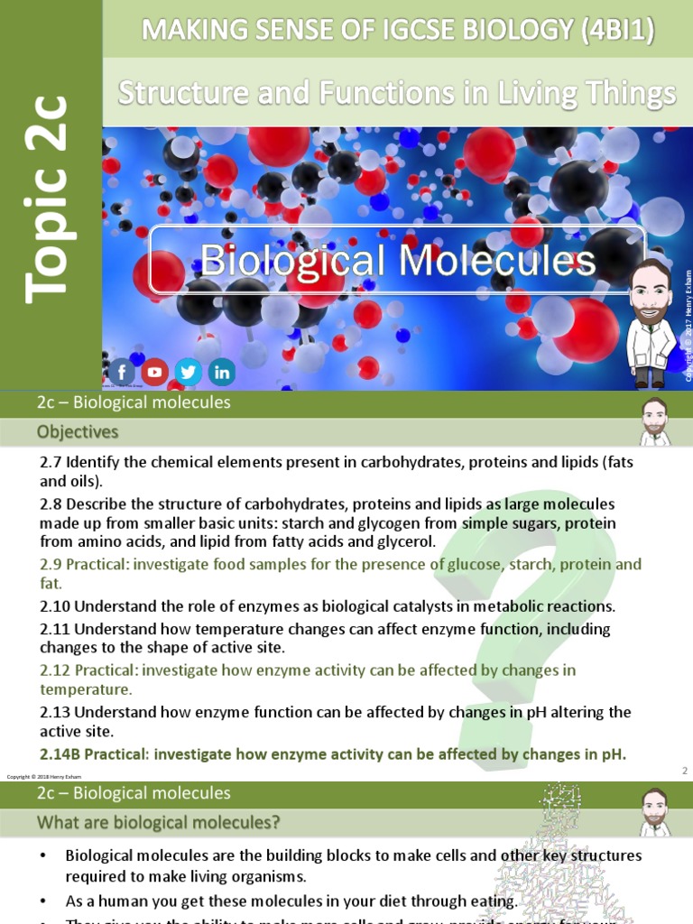 2c Biological Molecules | PDF | Enzyme | Carbohydrates