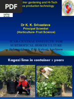 LSU-Ag Planting Guide | PDF | Vegetables | Fertilizer