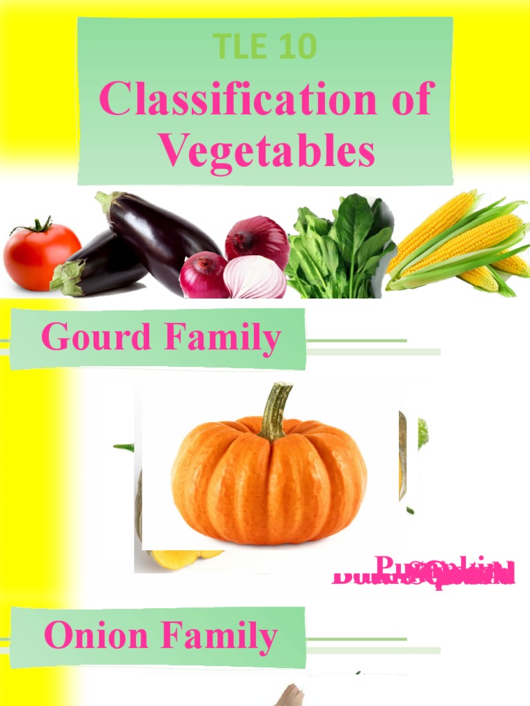 Classification of Vegetables | PDF