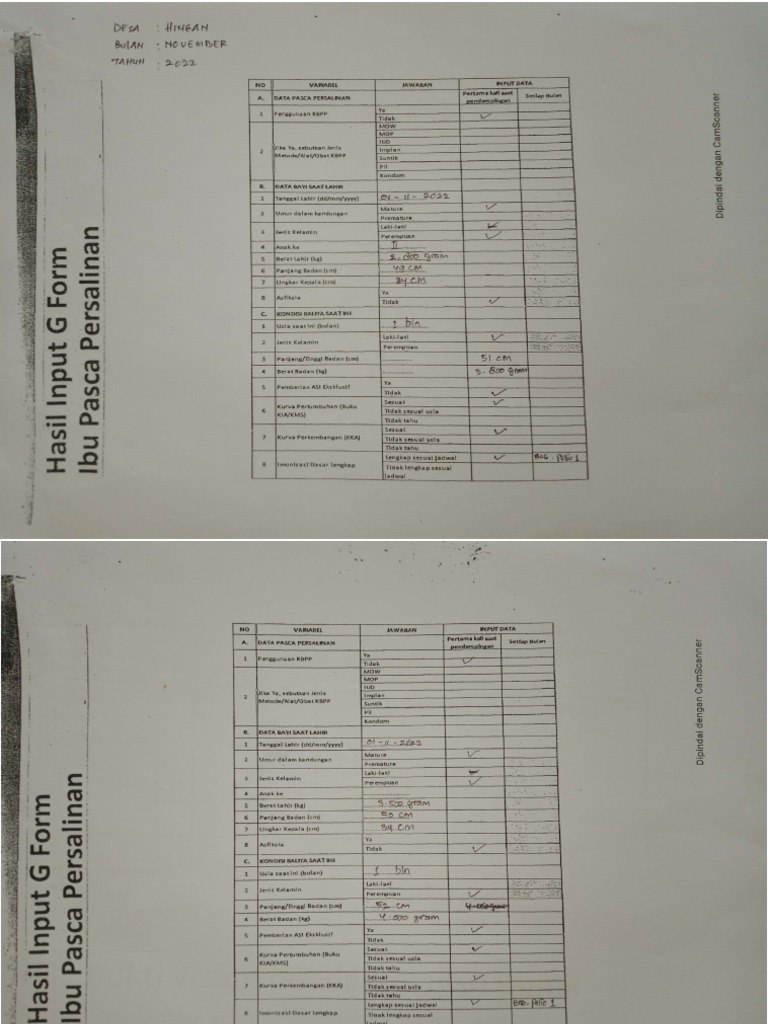 G Form Pasca Persalinan Nov Desa Hingan. | PDF