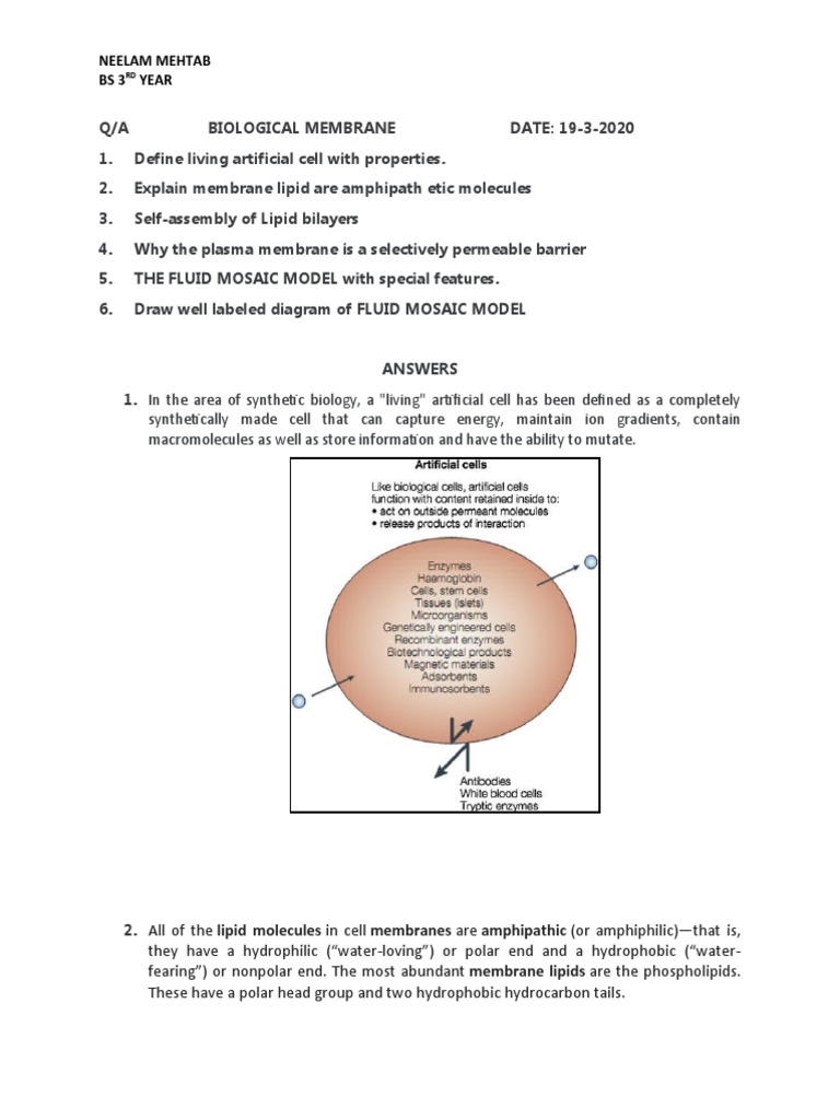 Tissue Biochemistry | Download Free PDF | Cell Membrane | Lipid Bilayer