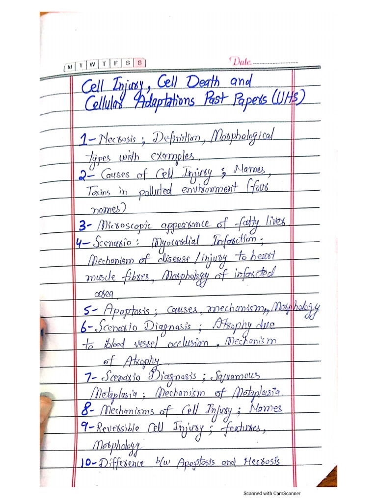 Patho Past Papers (Cell Injury+General Bacterio) | PDF