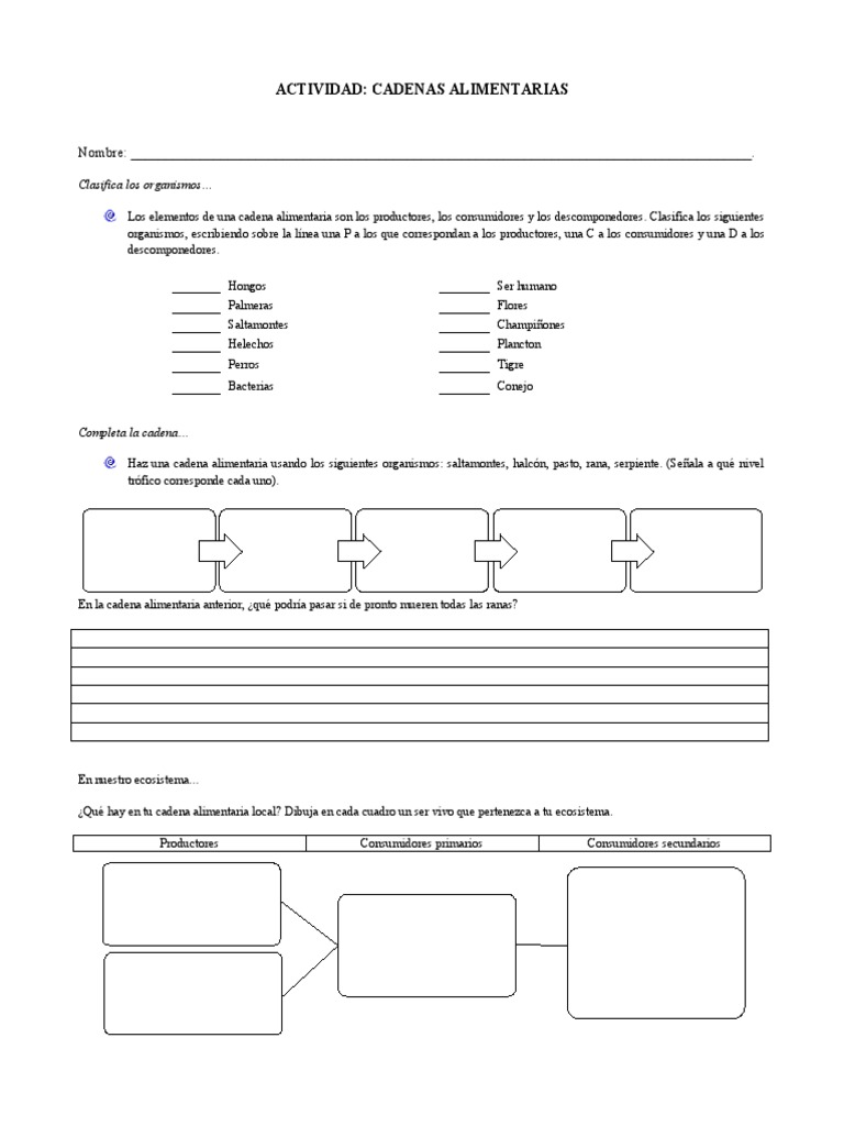 ACTIVIDAD - Cadena Alimenticia 20142015 | PDF