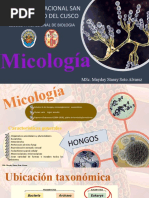 Morfología de Los Hongos | PDF | Mitosis | Reproducción sexual
