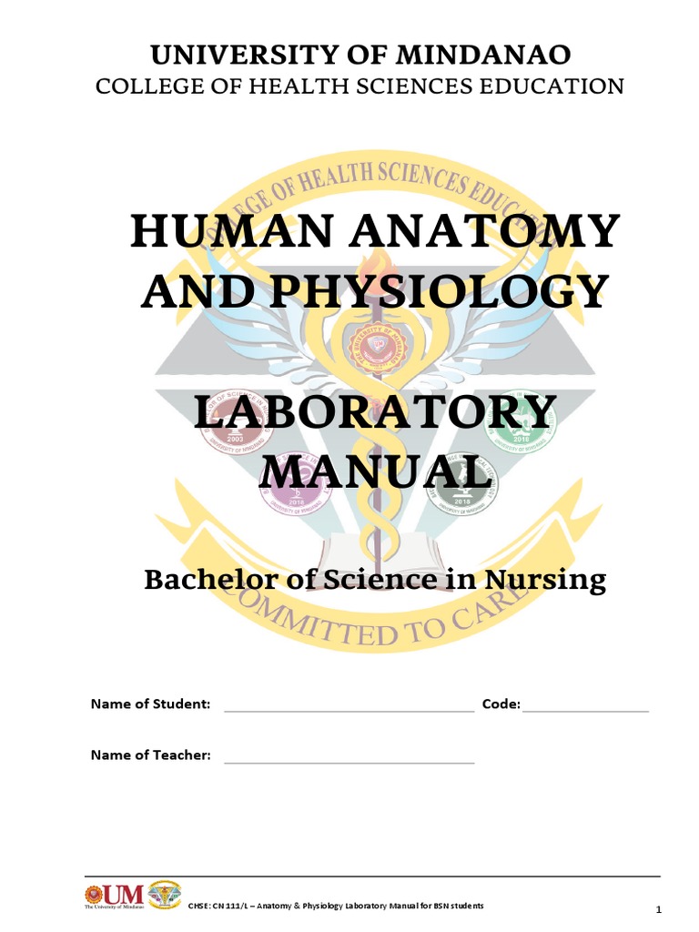 Lab 11 Lymphatic System | PDF | Lymphatic System | Lymph