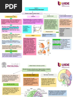 Signos de neumoperitoneo en radiografías | PDF | Abdomen | Hígado