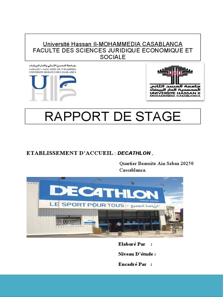 Rapport de Stage Decathlon S3 | Descargar gratis PDF | Business
