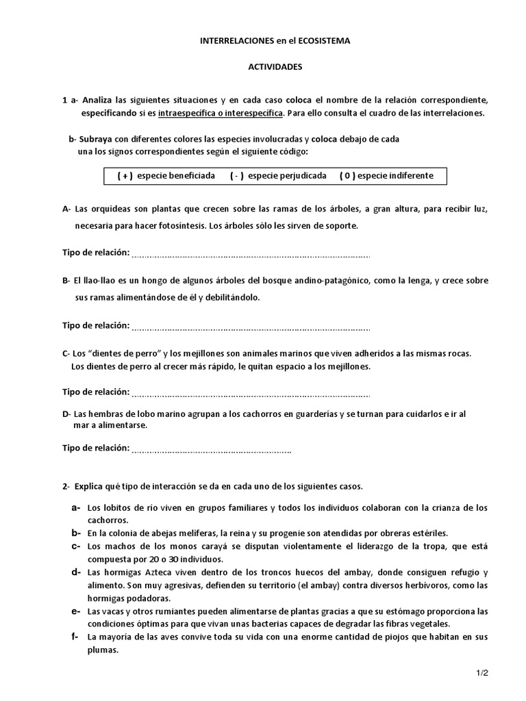 ACTIVIDADES Interrelaciones en El Ecosistema | PDF | Aves | Hormiga