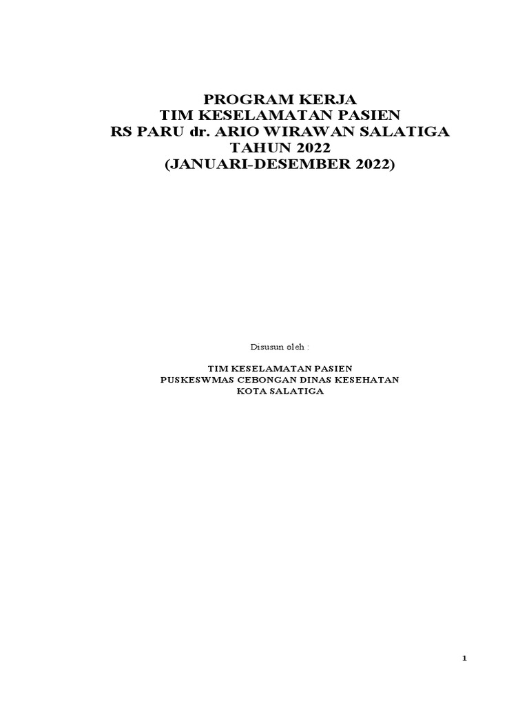 Program Kerja Tim Keselamatan Pasien 2017 | PDF