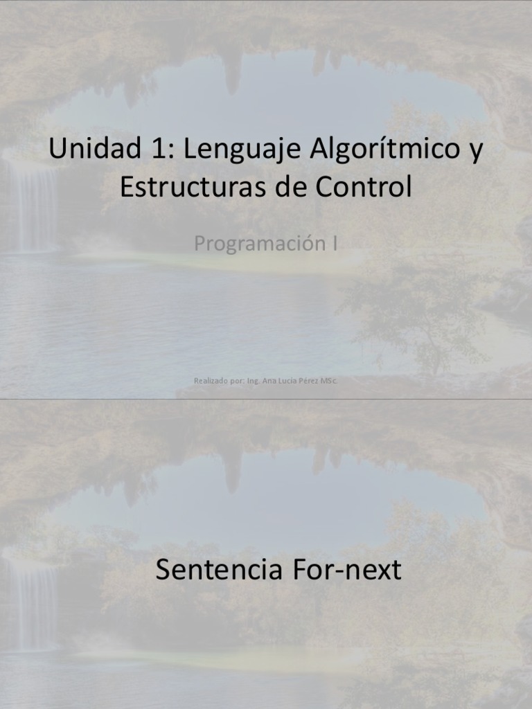 Sintaxis y Uso de For-Next en Programación | PDF