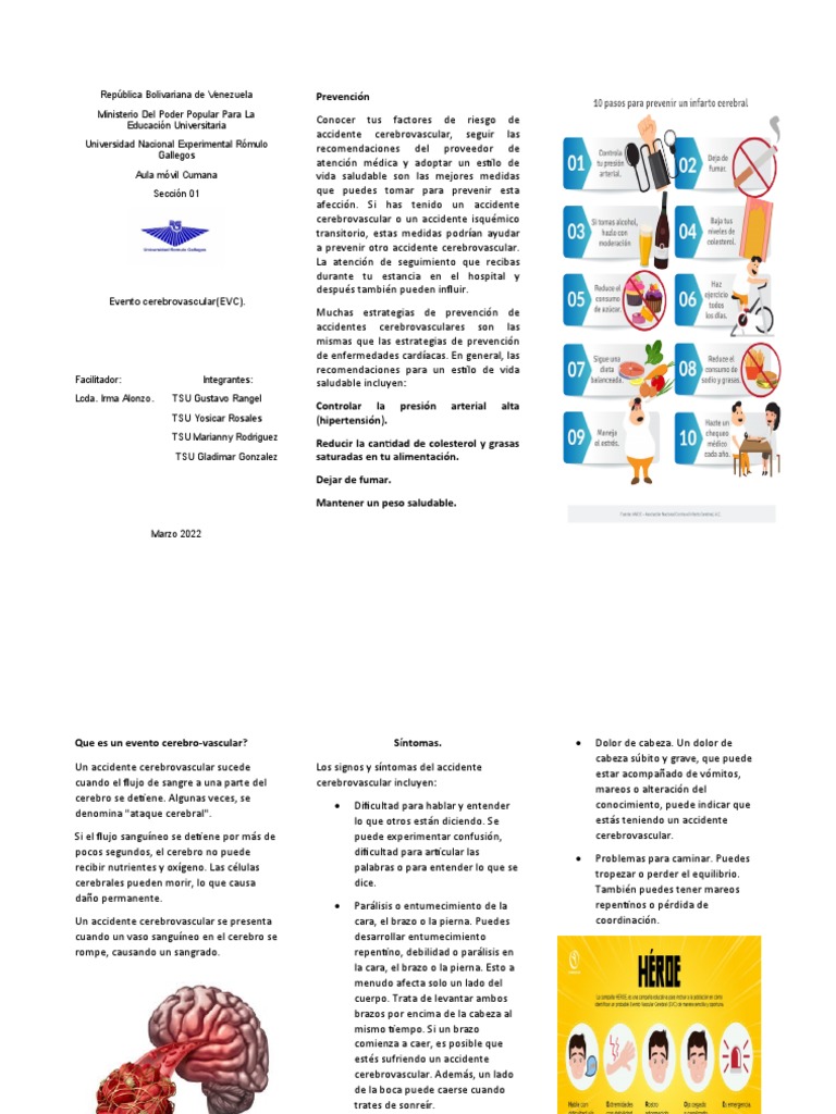 Triptico Evc | PDF | Carrera | Medicina CLINICA
