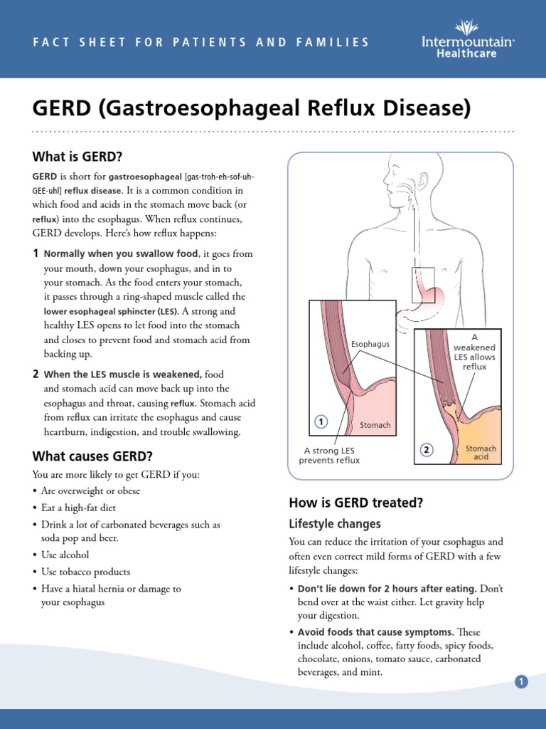 GERD Gastroesophageal Reflux Disease Fact Sheet | PDF | Gastroesophageal Reflux Disease | Esophagus