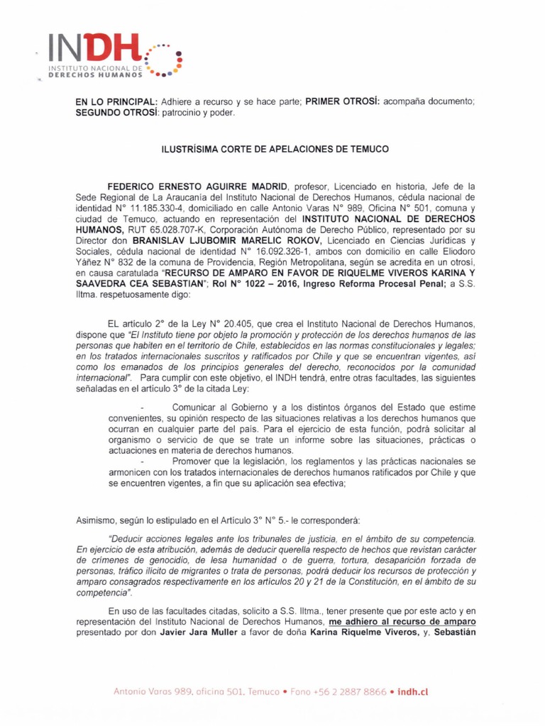 INDH Adhiere A Recurso | PDF | Derechos humanos | Gobierno
