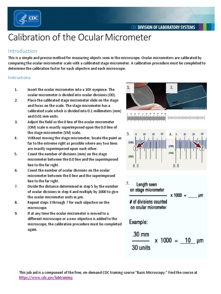 Ocular Micrometer Calibration Guide | PDF | Technology & Engineering