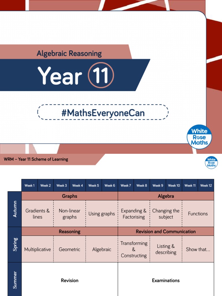 Year 11 Algebraic Reasoning | PDF