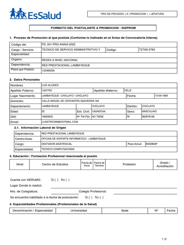 Formato Sisprom | PDF