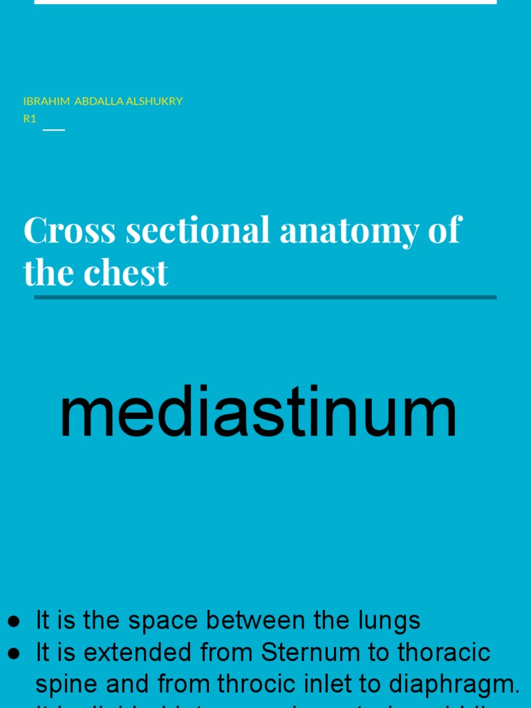 Mediastinum and Cross Sectional Anatomy of The Chest | PDF | Aorta | Thorax